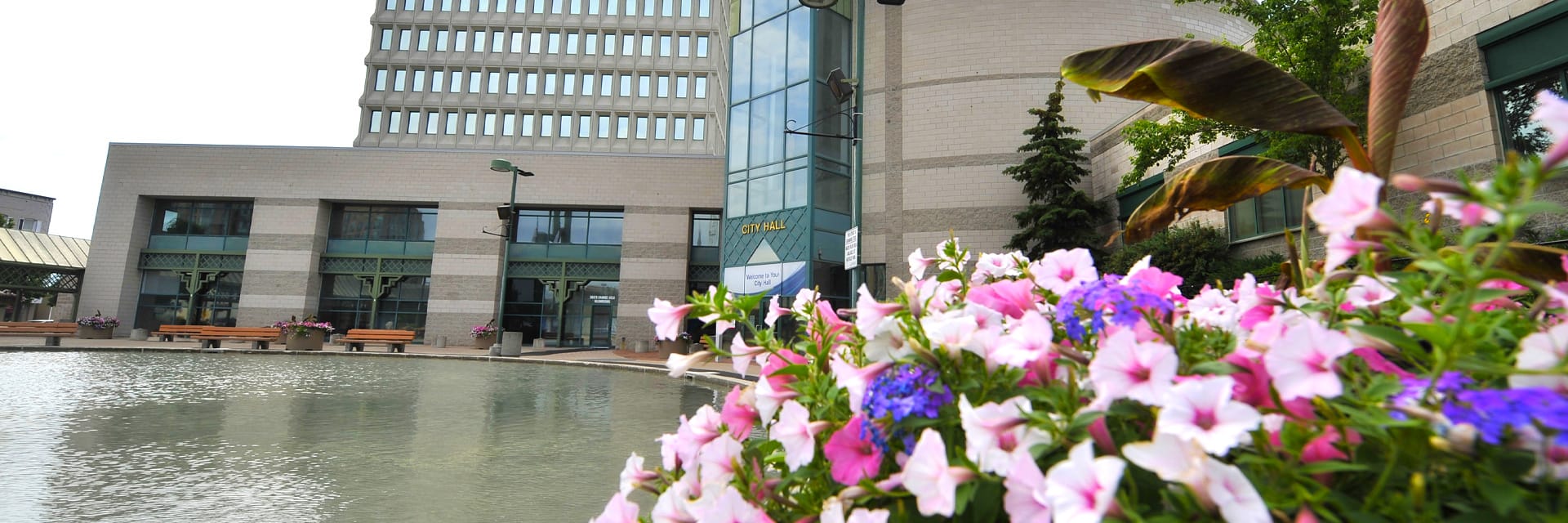 Government & News | City of Barrie